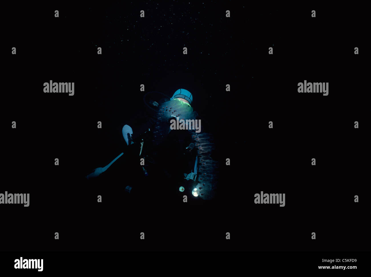 Plongeur inspecte la chaîne (Salp Thalia democratica) de nuit à une ...
