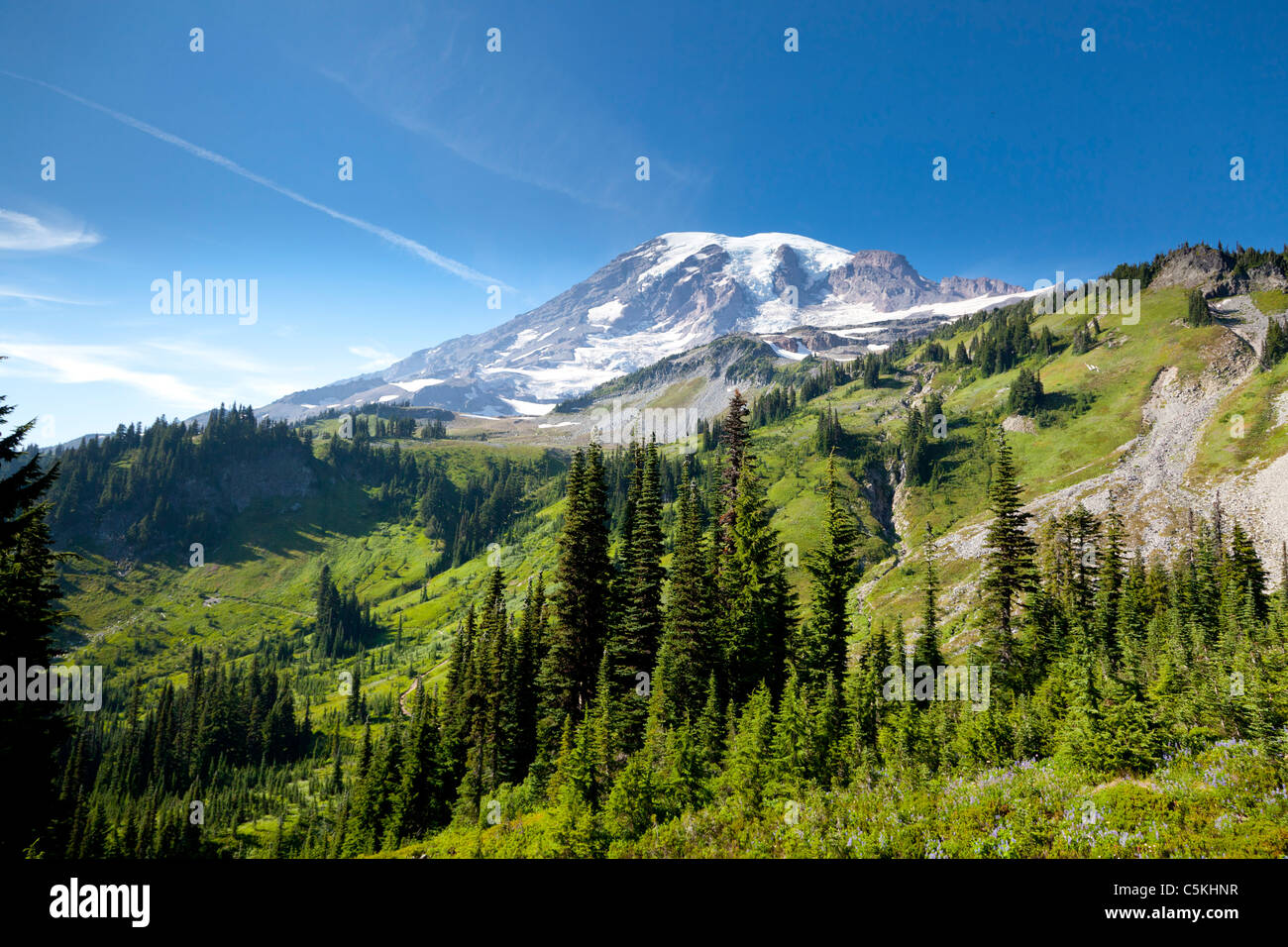 Parc National Du Mont Rainier Banque d'image et photos - Alamy