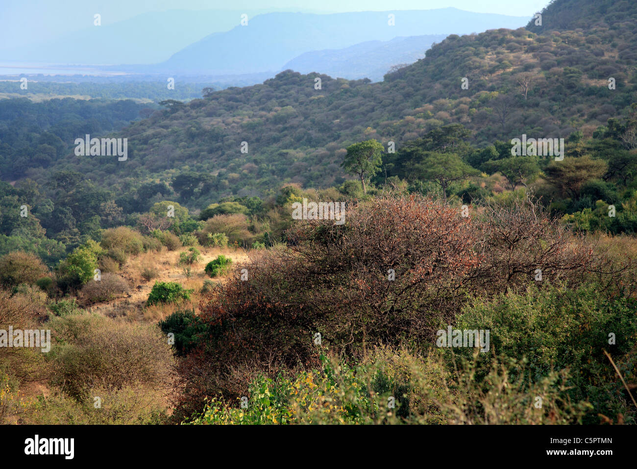 Rift vallée africain paysage Banque de photographies et d’images à ...