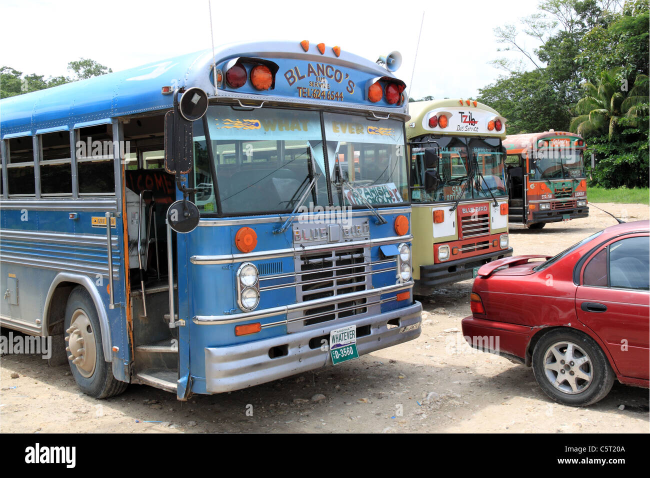 Belizean bus Banque de photographies et d’images à haute résolution - Alamy