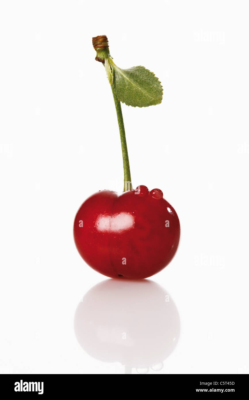 Cerise aigre Banque de photographies et d’images à haute résolution - Alamy