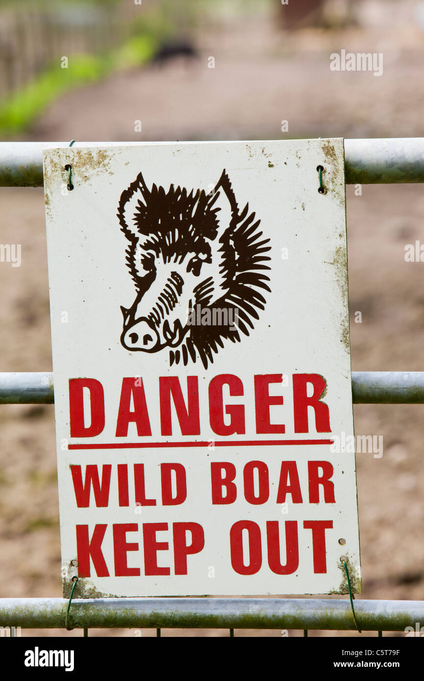 Wild boar warning sign Banque de photographies et d’images à haute ...