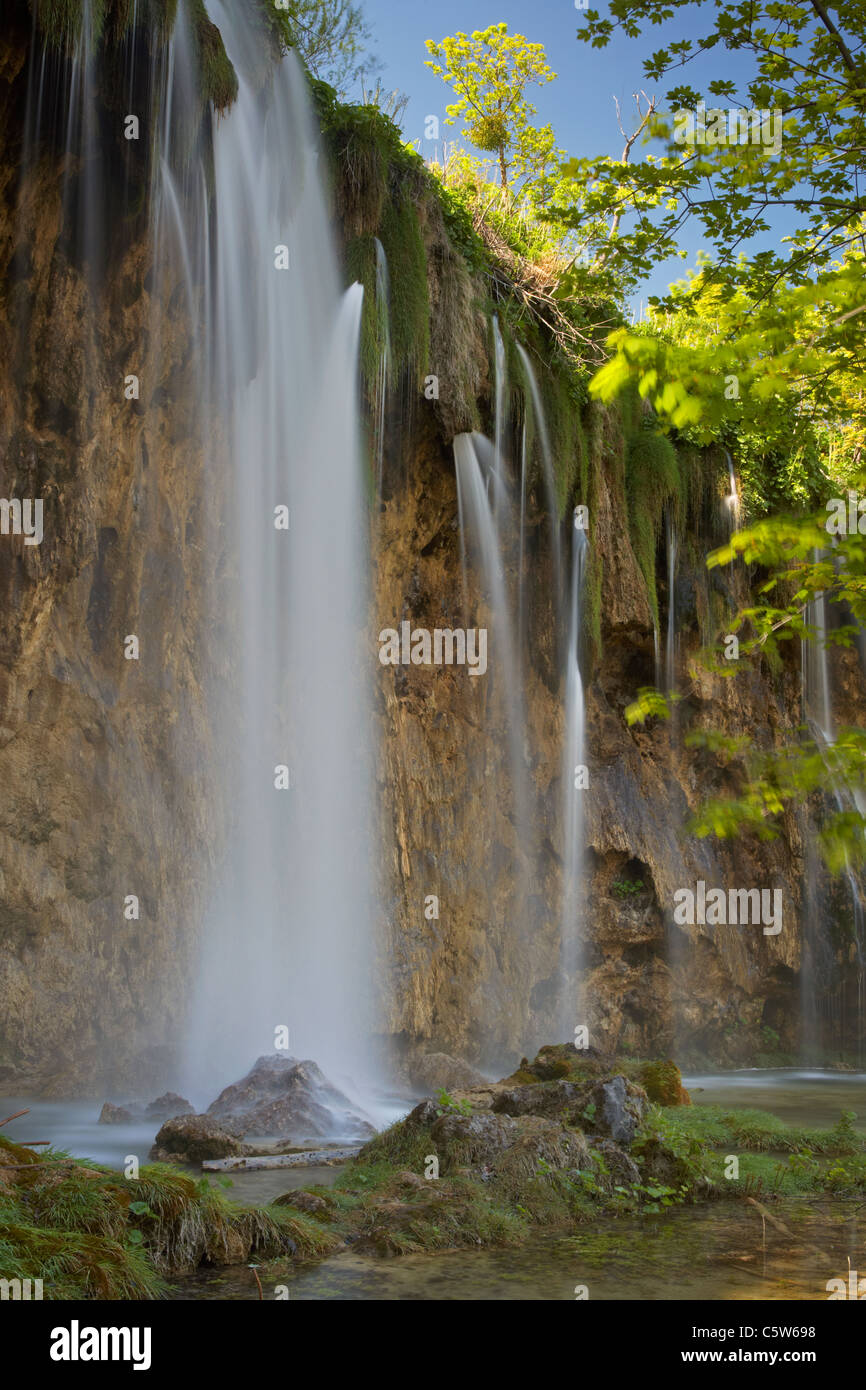 Cascade Gradinsko ou gifle de dans la Plitvicka Jezera ou le parc ...