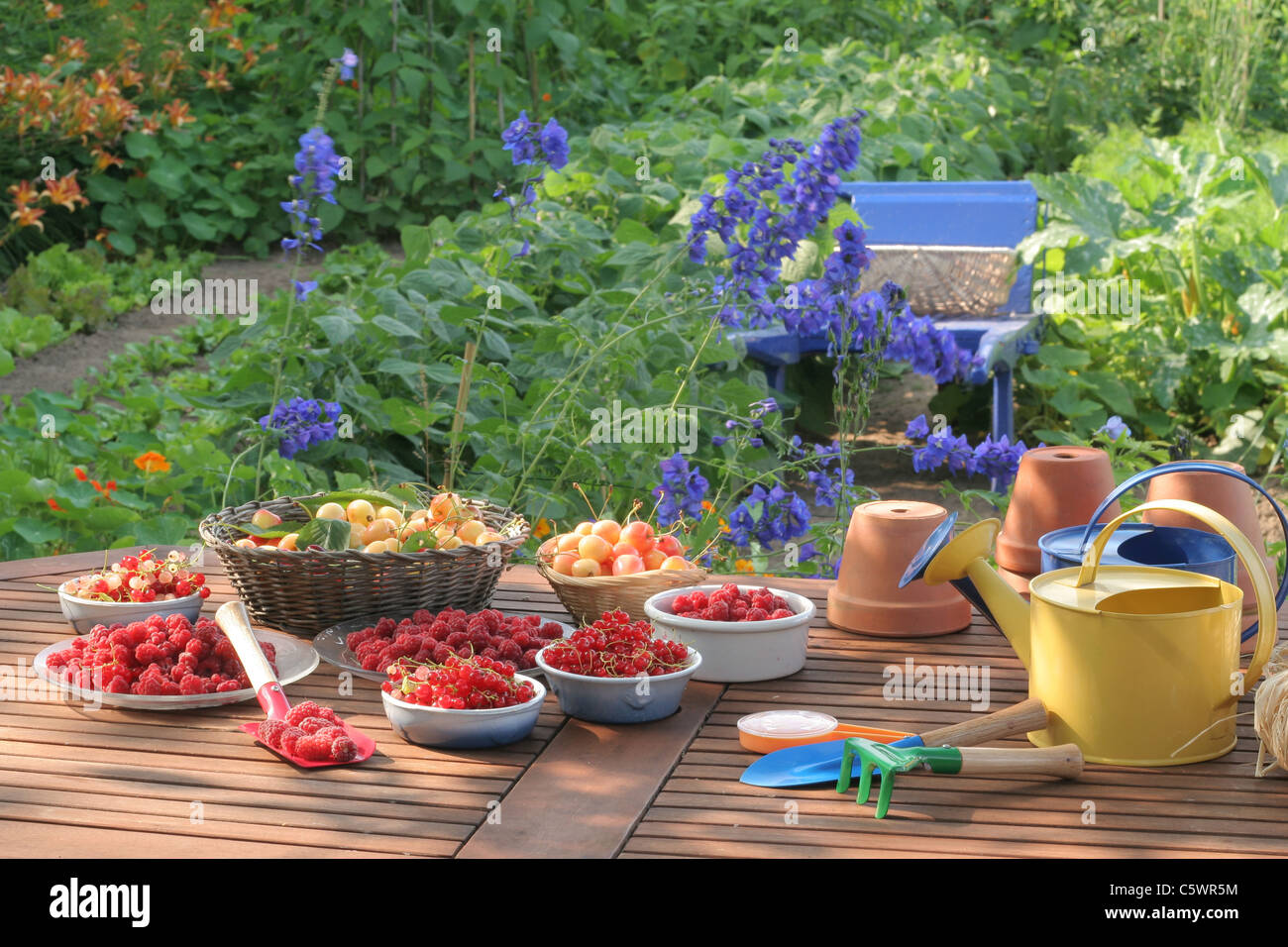 Les petits fruits rouges du jardin Banque de photographies et d’images ...