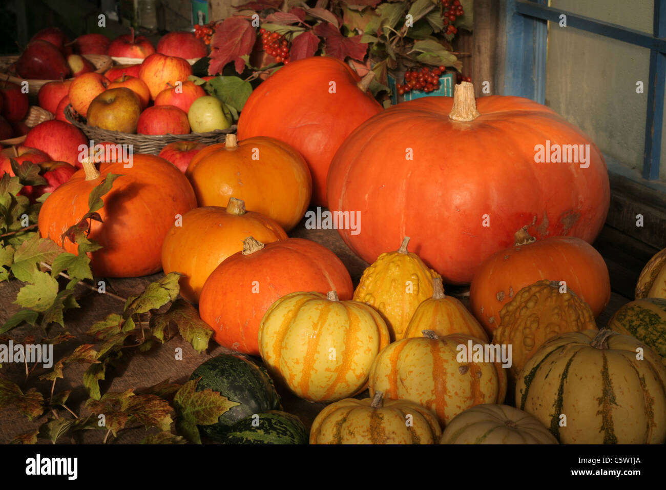 Potiron rouge detampes Banque de photographies et d’images à haute ...