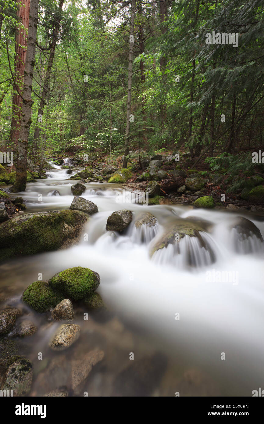 Ruisseau au printemps Banque de photographies et d’images à haute ...