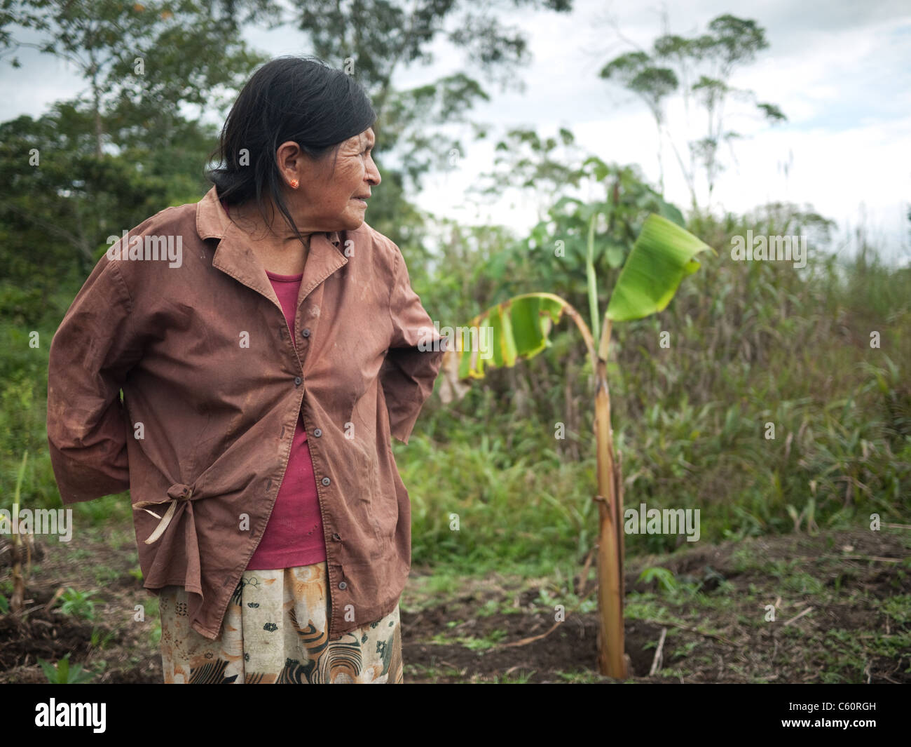 Amazonie peuple Banque de photographies et d’images à haute résolution ...