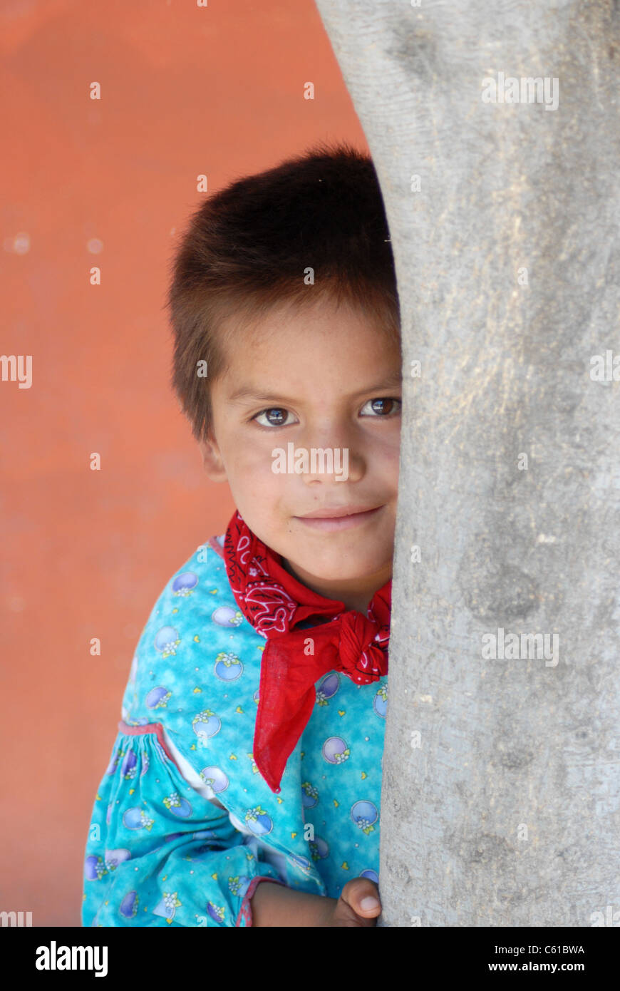 Un jeune garçon mexicain Huichol pairs de derrière un arbre Photo Stock ...