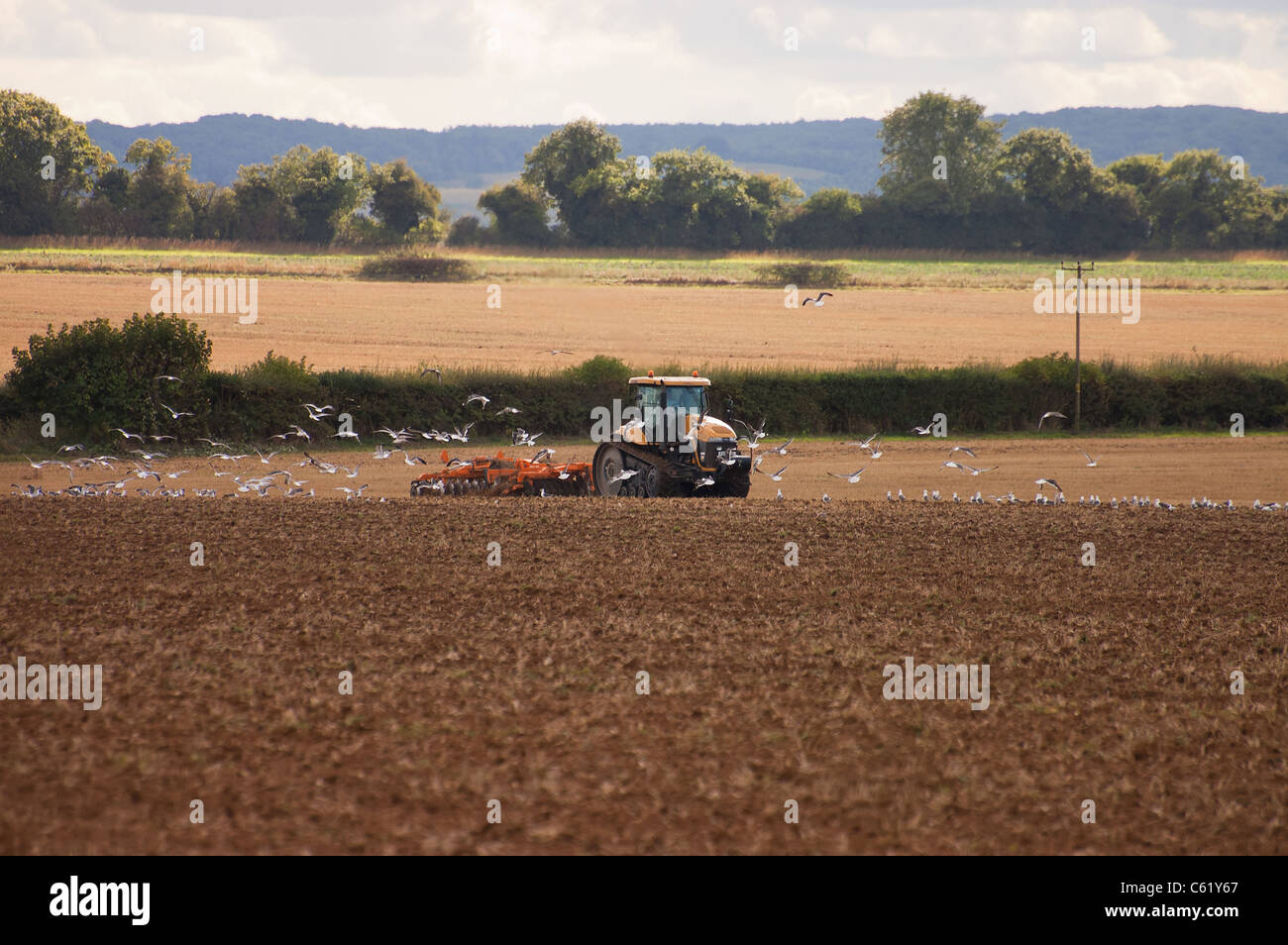 Tracteurs labourant le terrain Banque de photographies et d’images à ...
