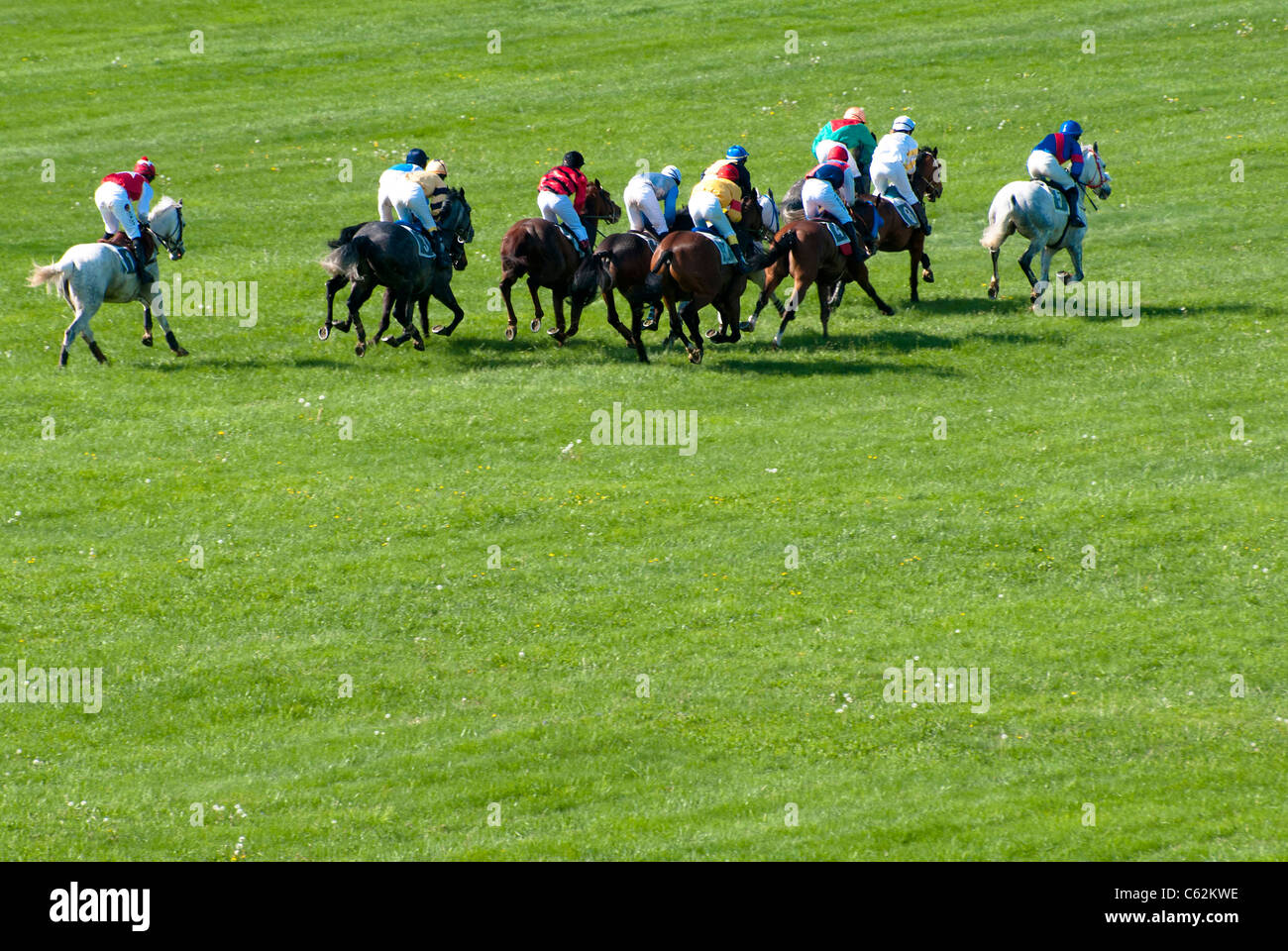 La compétition de course de chevaux d'obstacles Photo Stock - Alamy