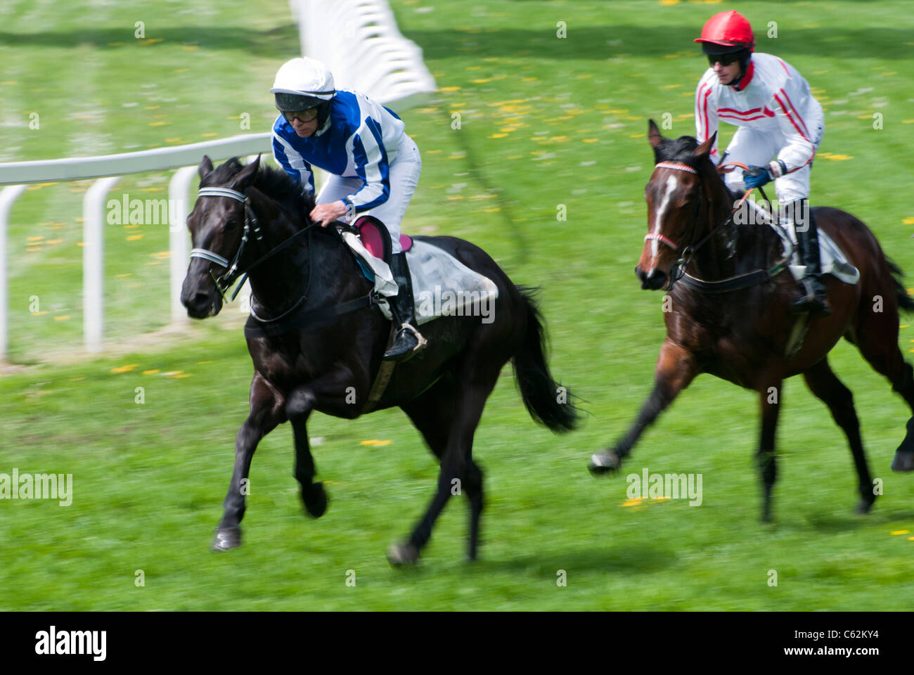 La compétition de course de chevaux d'obstacles Photo Stock - Alamy