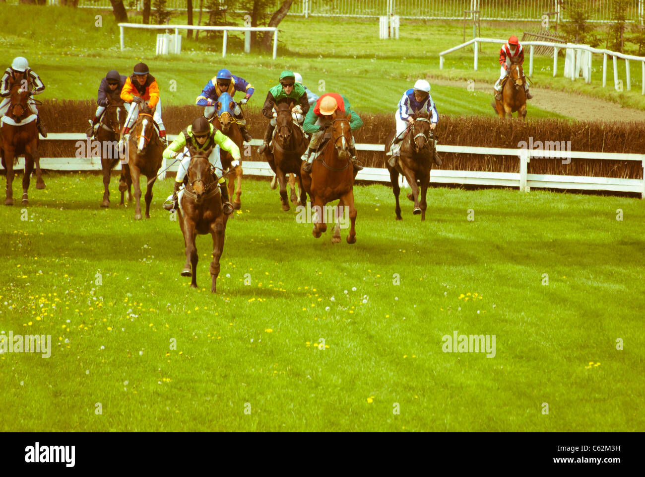 La compétition de course de chevaux d'obstacles Photo Stock - Alamy