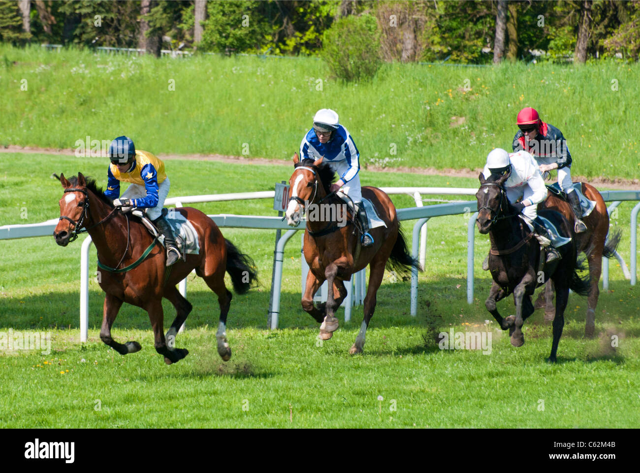 La compétition de course de chevaux d'obstacles Photo Stock - Alamy