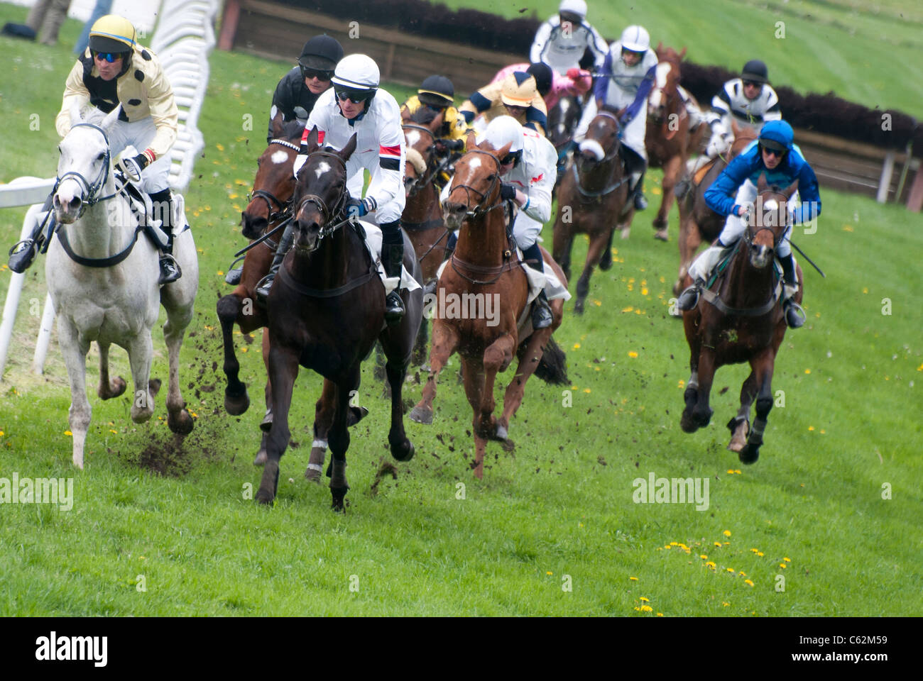 La compétition de course de chevaux d'obstacles Photo Stock - Alamy