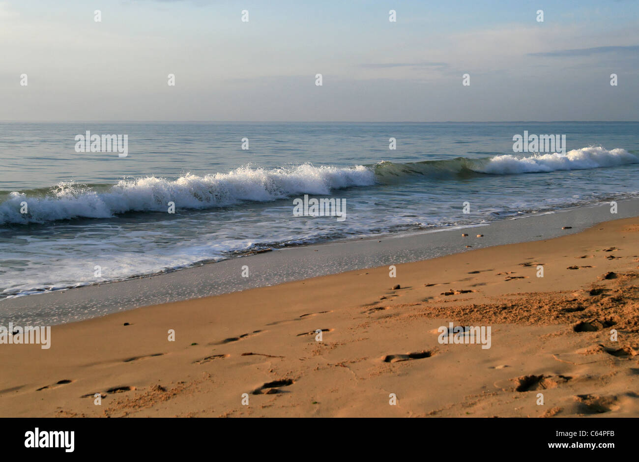 La plage de la conche des baleines Banque de photographies et d’images ...