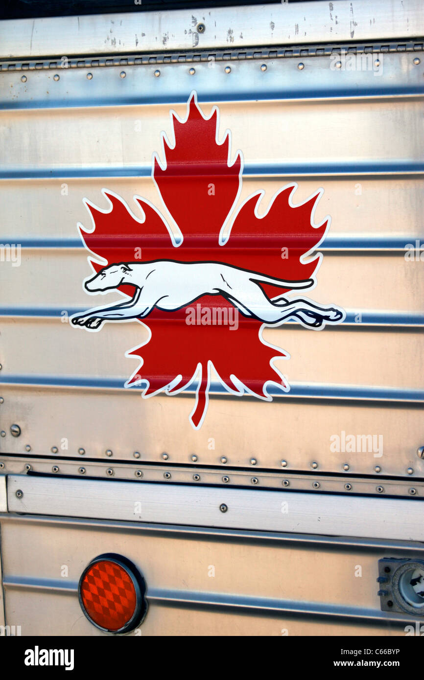 Greyhound canada Banque de photographies et d’images à haute résolution ...