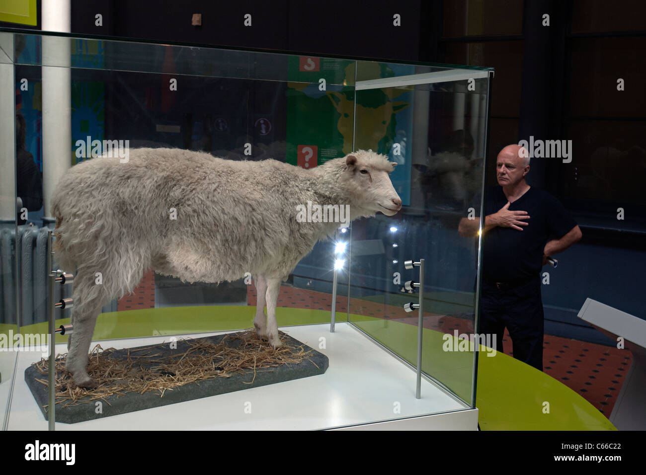 Ecosse dolly Banque de photographies et d’images à haute résolution - Alamy