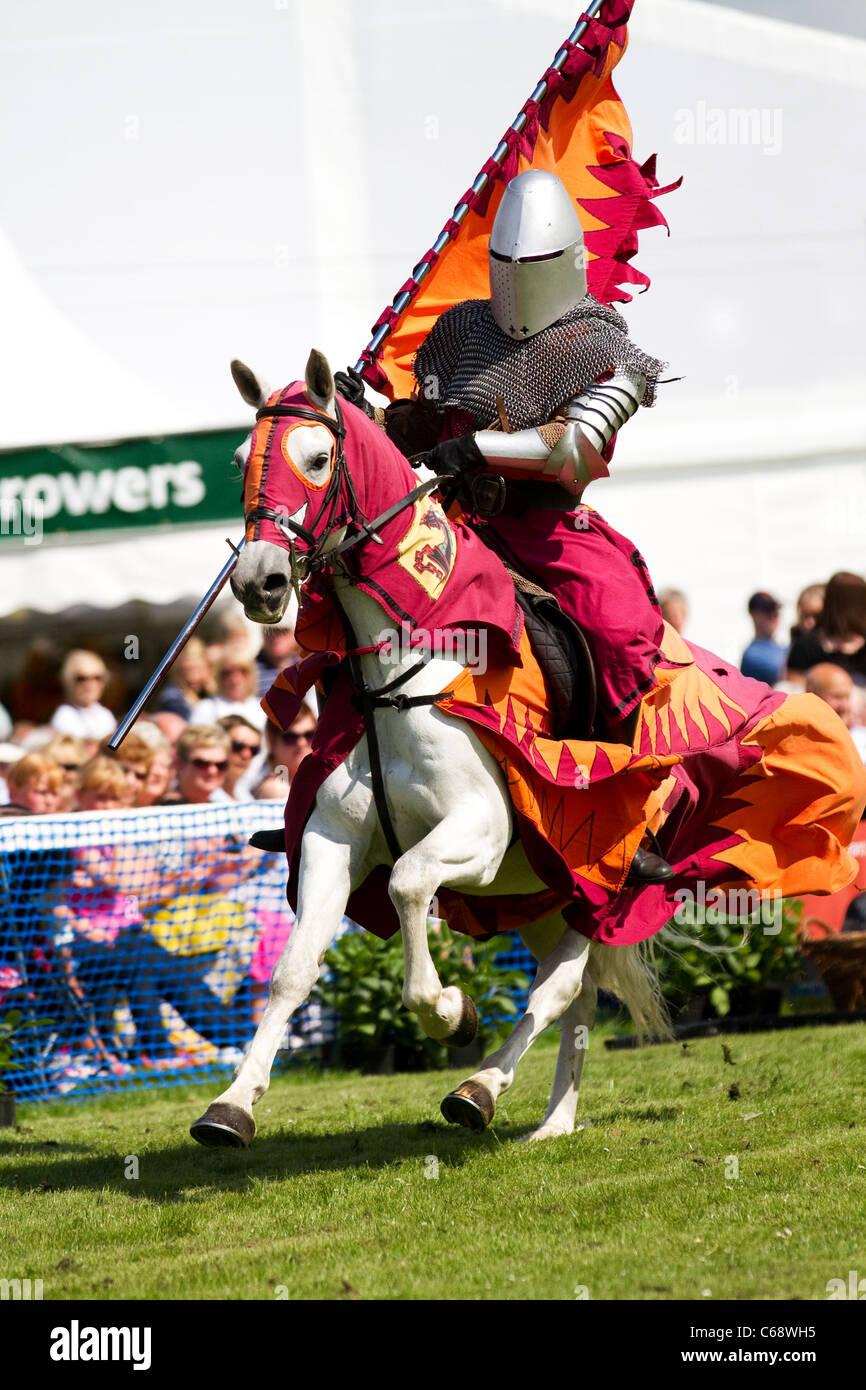 Cavalier avec armure et cheval Banque de photographies et d’images à ...
