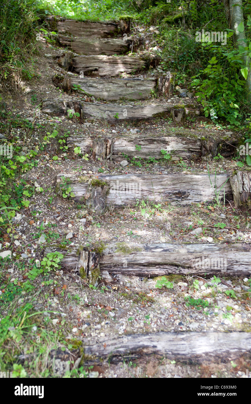 Campagne chemin Banque de photographies et d’images à haute résolution ...