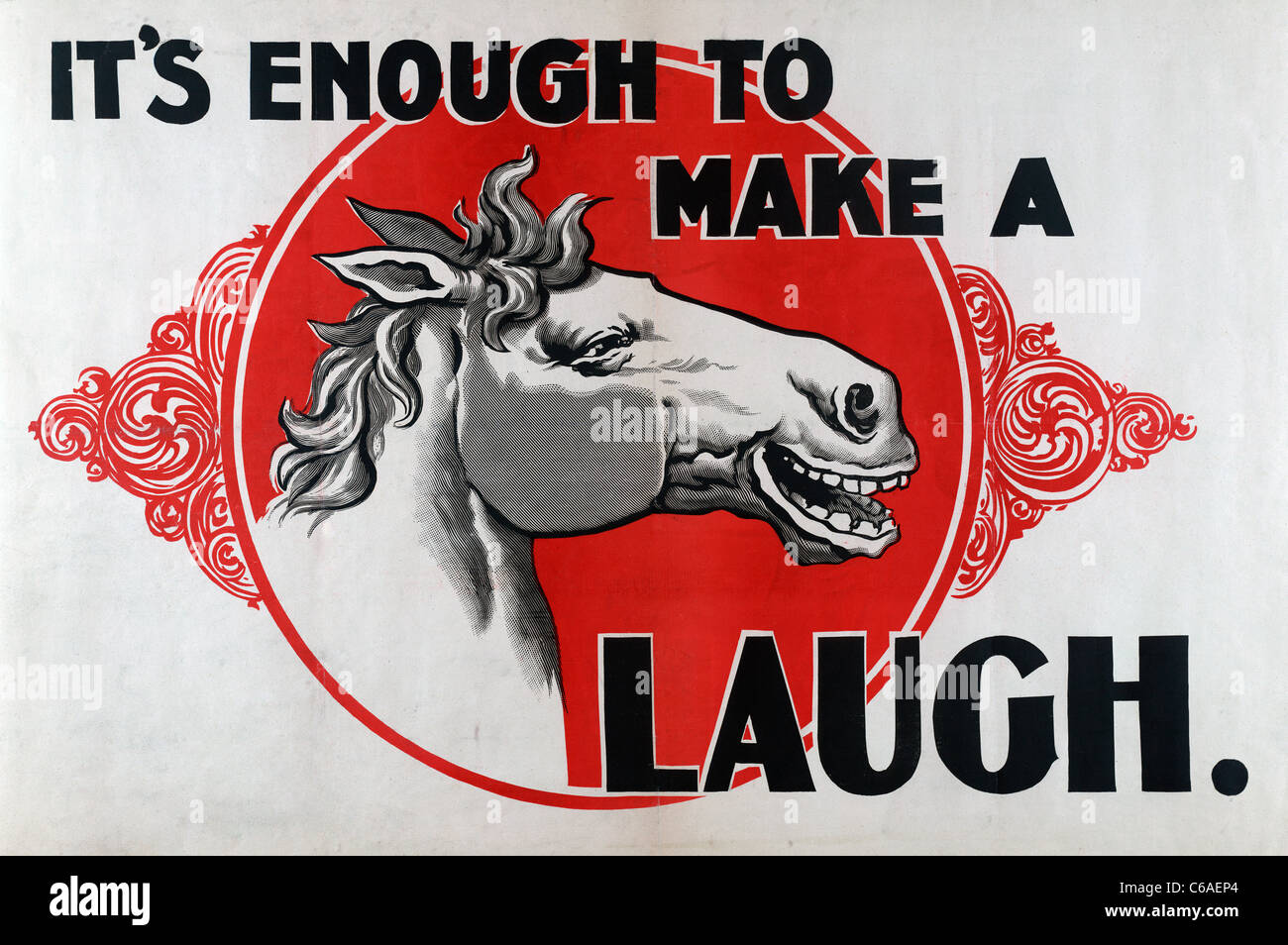 Cheval humoristique Banque de photographies et d’images à haute ...