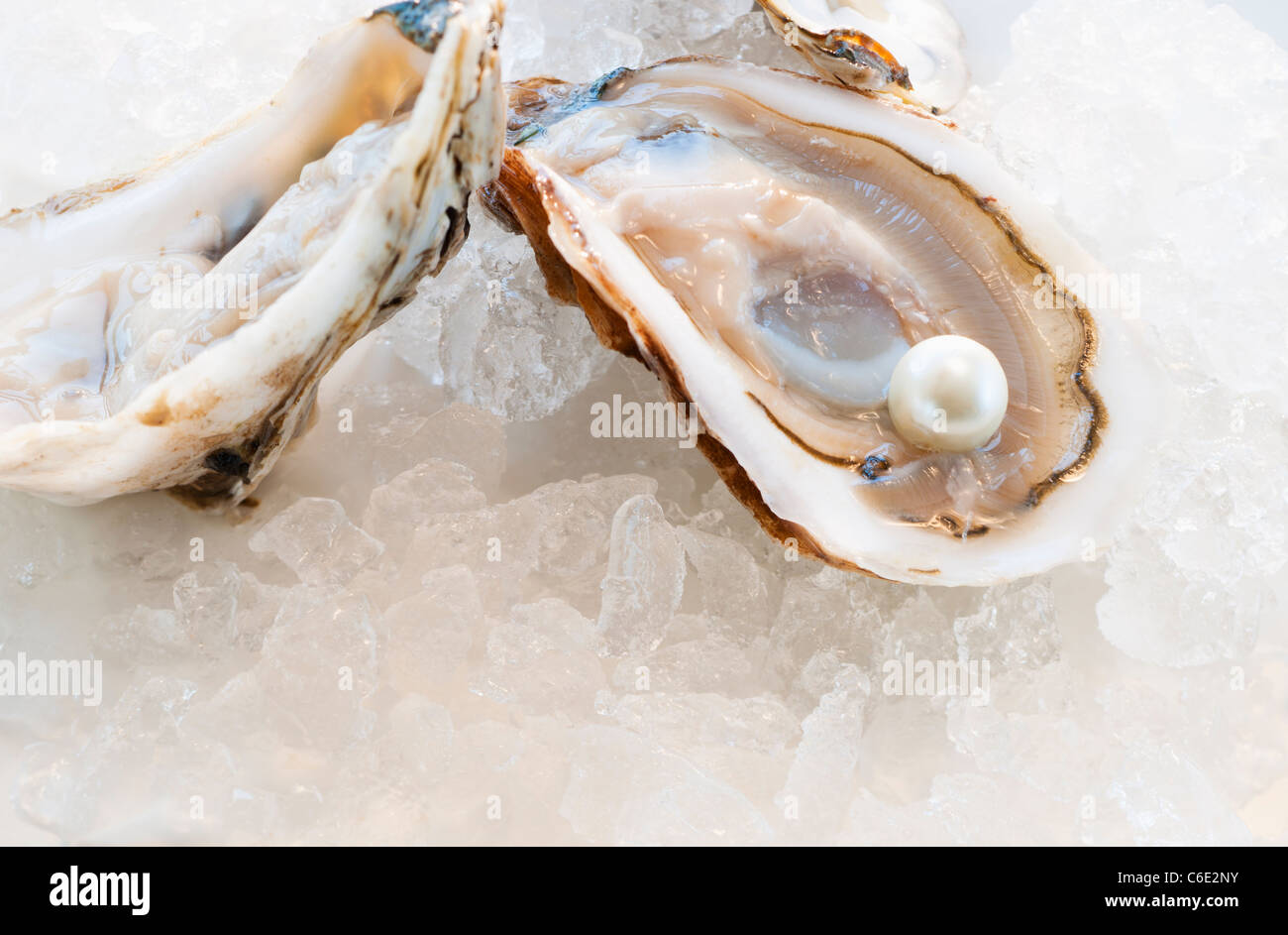 Huître perlière Banque de photographies et d’images à haute résolution ...