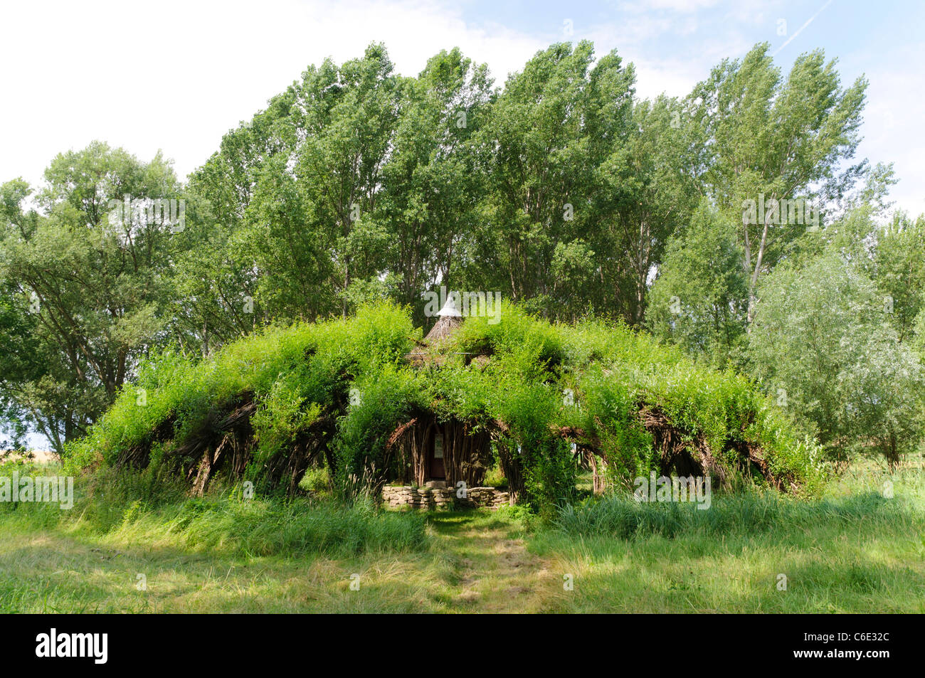Palais Auerworld, la plus grande structure vivante faite de saule ...