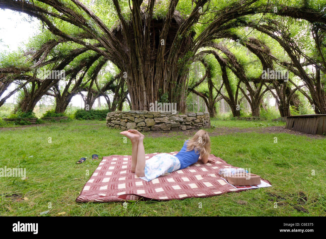 Palais Auerworld, la plus grande structure vivante faite de saule ...