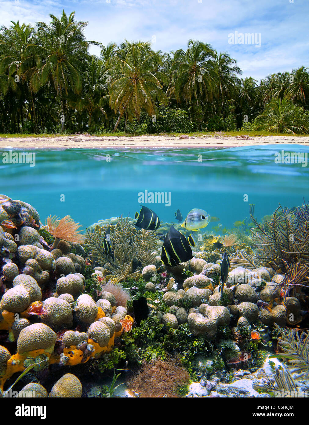 Vue sous-marine et de surface d'une plage idyllique, coraux et poissons ...
