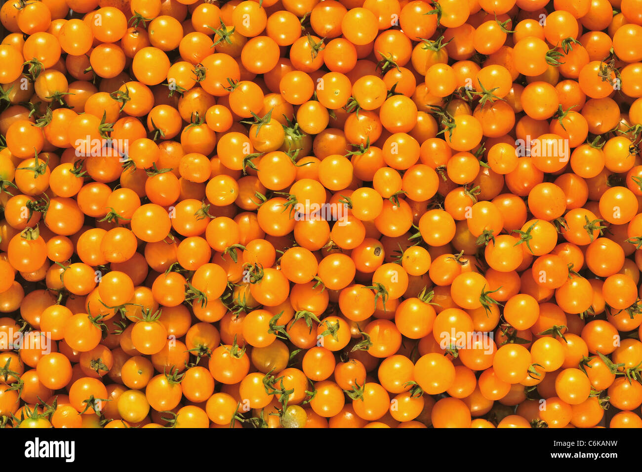 Tomate cerise jaune Banque de photographies et d’images à haute ...