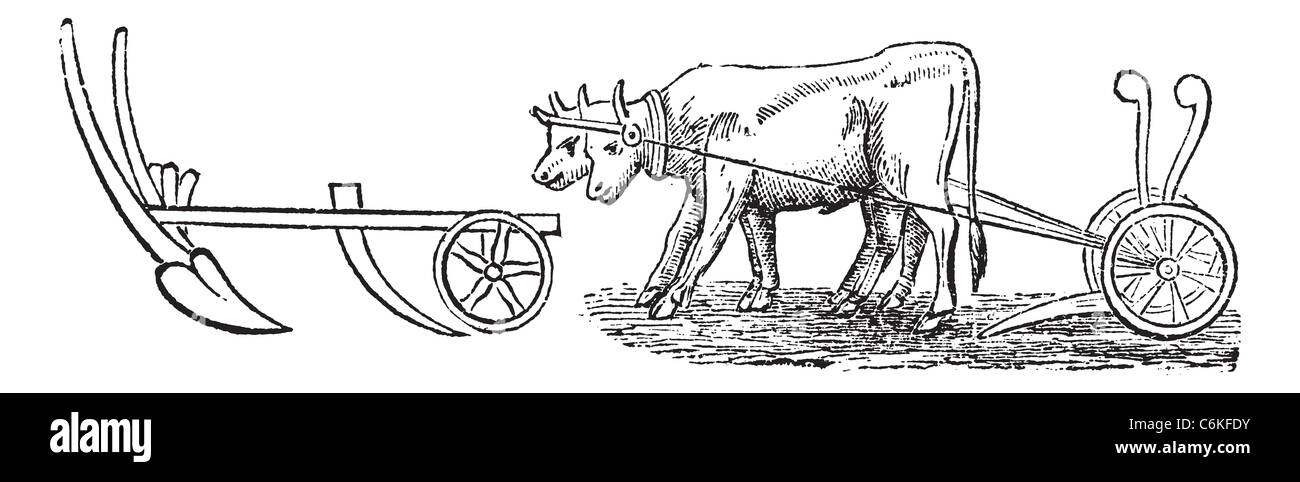 Charrue, gravure d'époque. Vieille illustration gravée d'un type de la ...