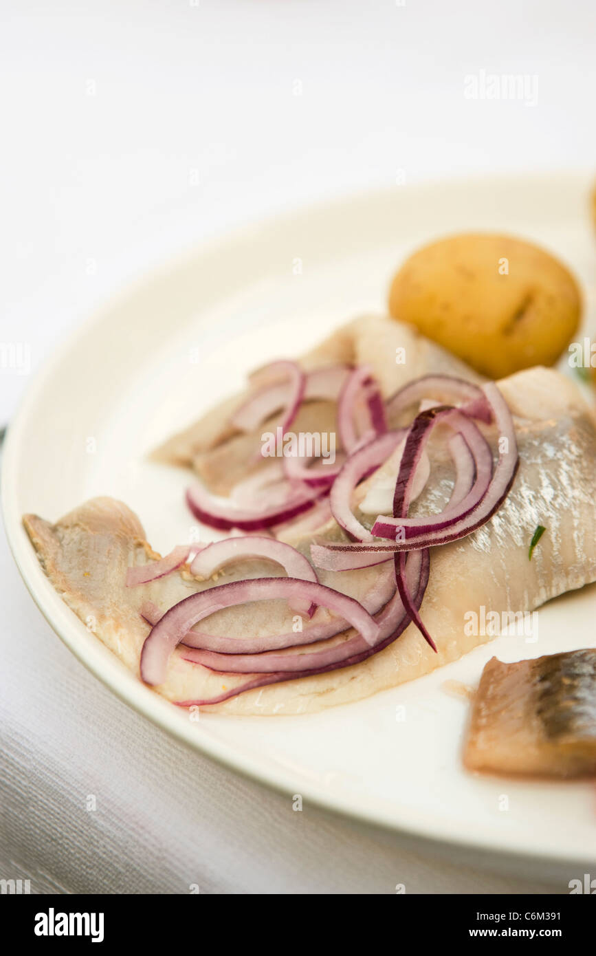 Nature morte avec oignons et hareng Banque de photographies et d’images ...