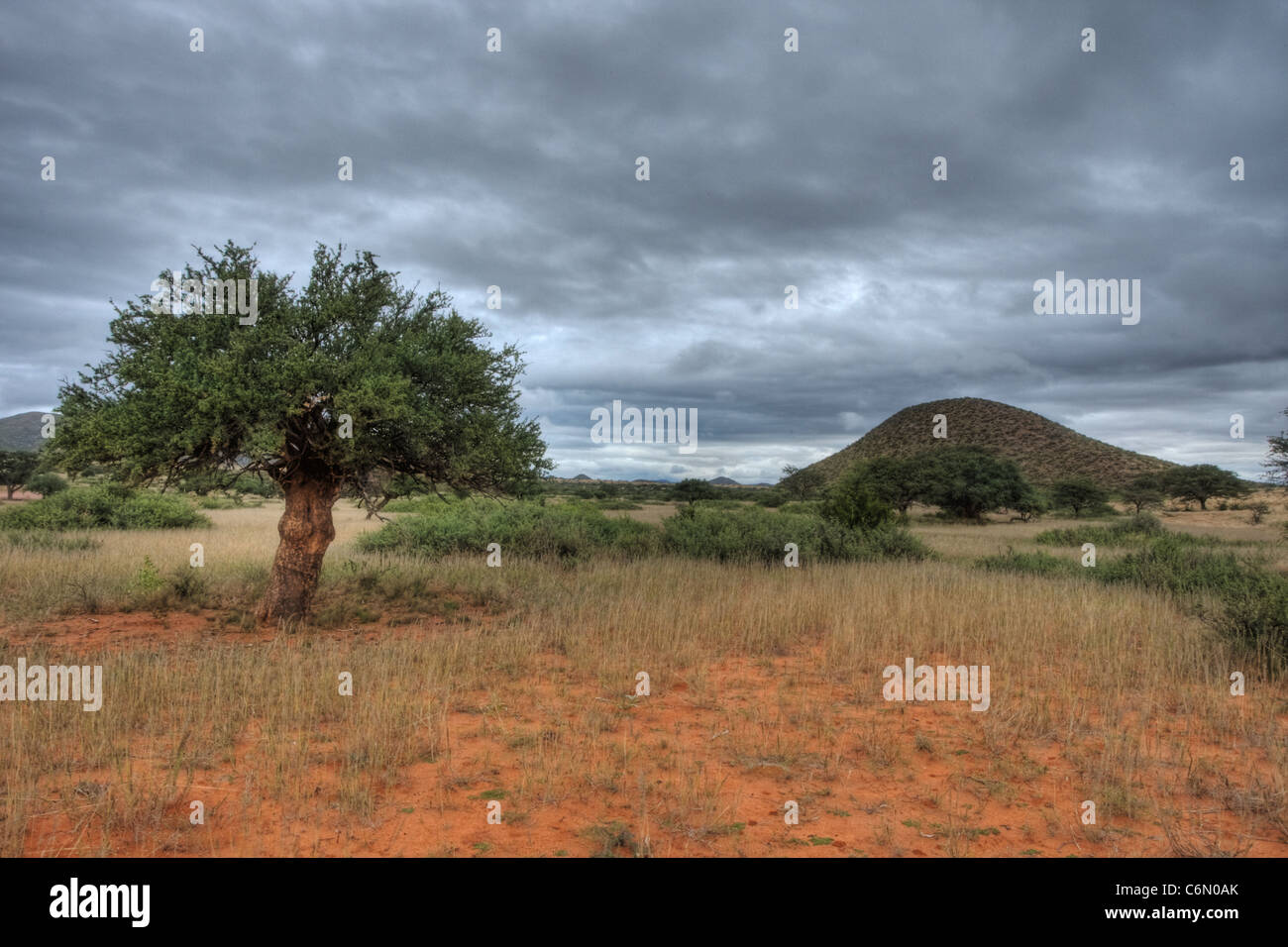 Paysage avec arbre Banque de photographies et d’images à haute ...