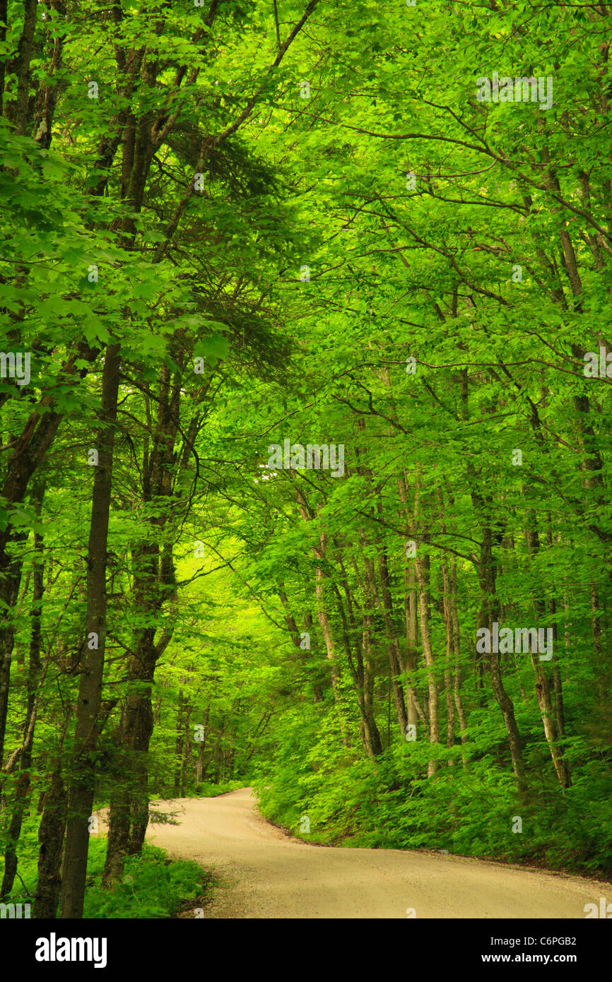 Kelly stand route Banque de photographies et d’images à haute ...