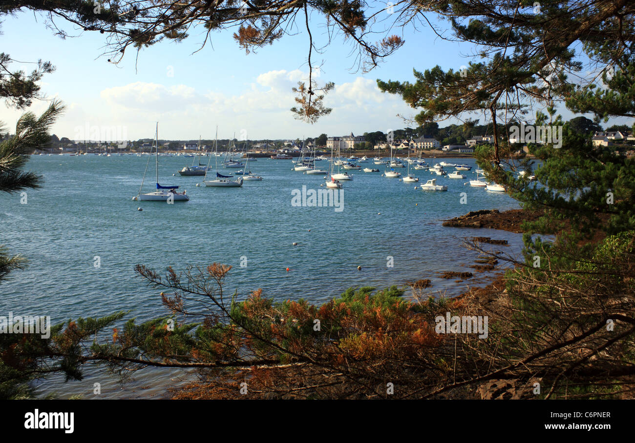 Avis de Larmor-Baden de Ile de Berder, Larmor-Baden, Morbihan, Bretagne ...