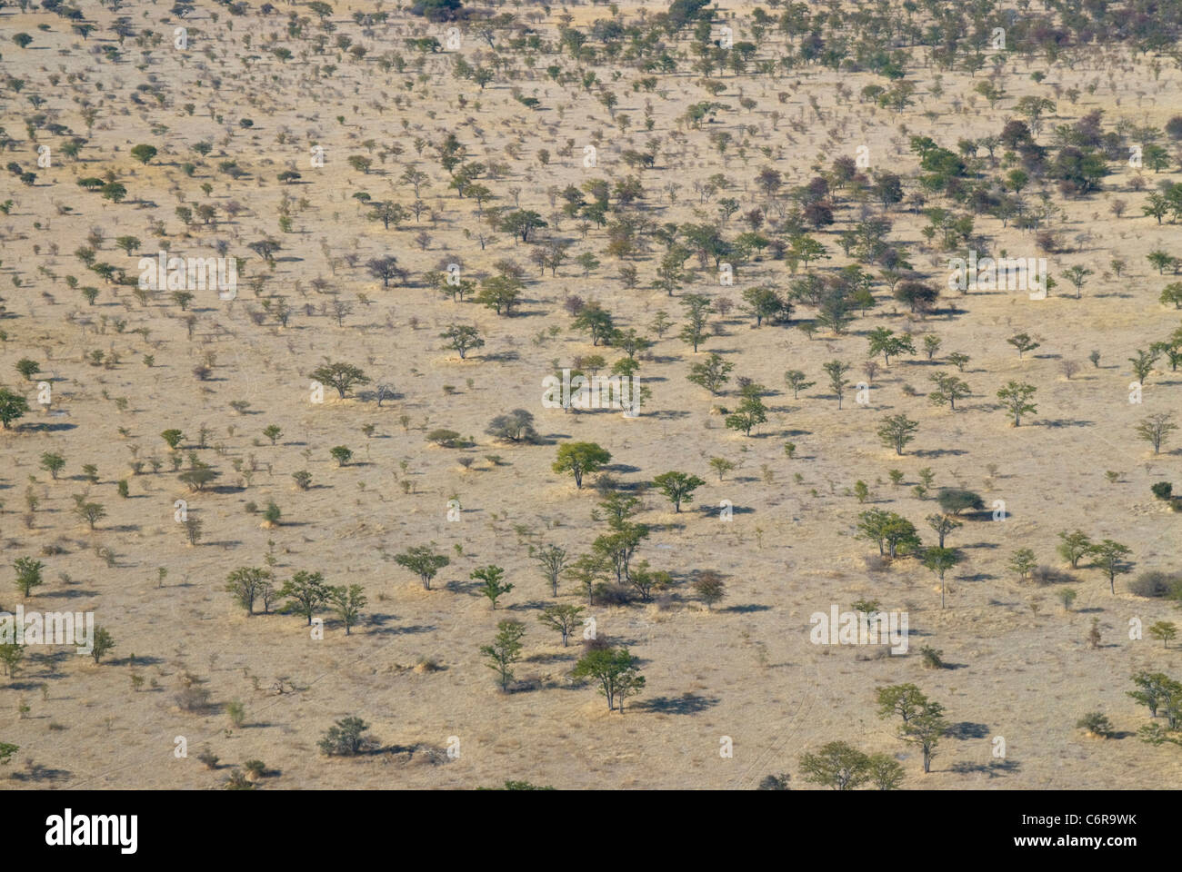 Paysage aride Banque de photographies et d’images à haute résolution ...