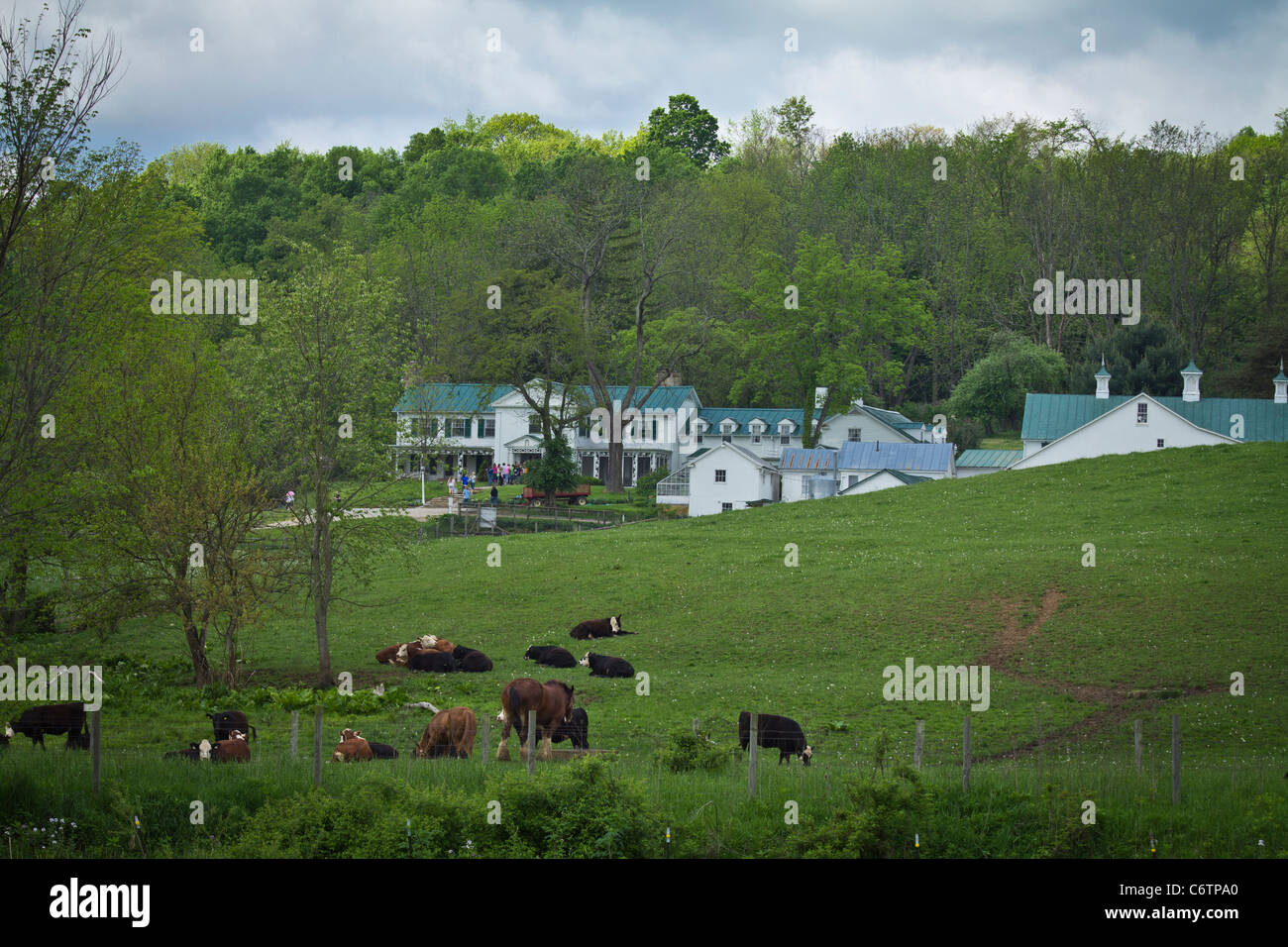 La ferme avec des animaux domestiques dans le paysage des USA ciel bleu ...