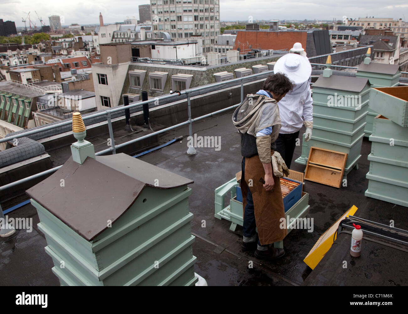Des ruches sur le toit de Fortnum & Mason, Londres - assister aux ...