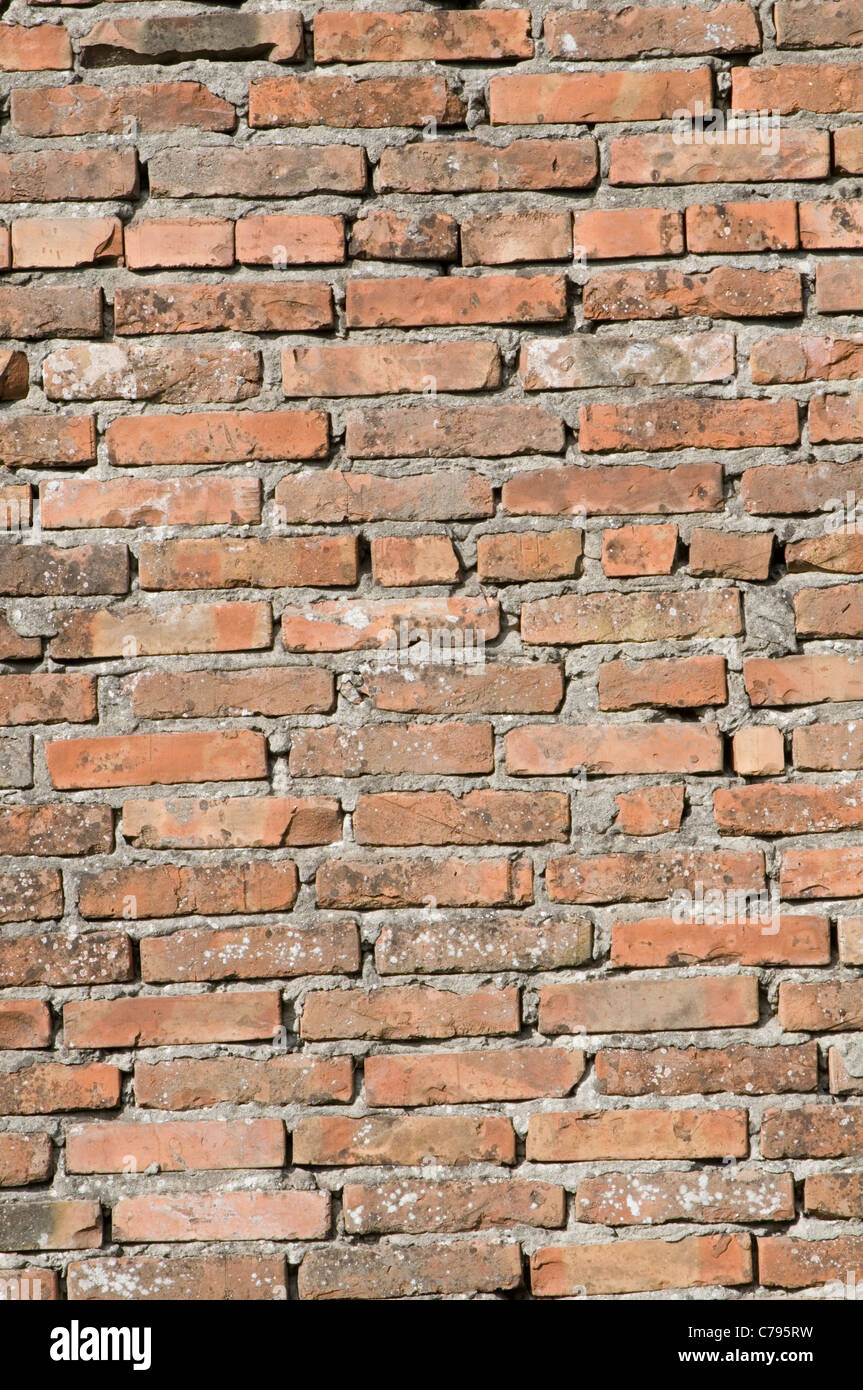 Briques Brique brickwalls brickwall murs mur de ciment de mortier Photo ...
