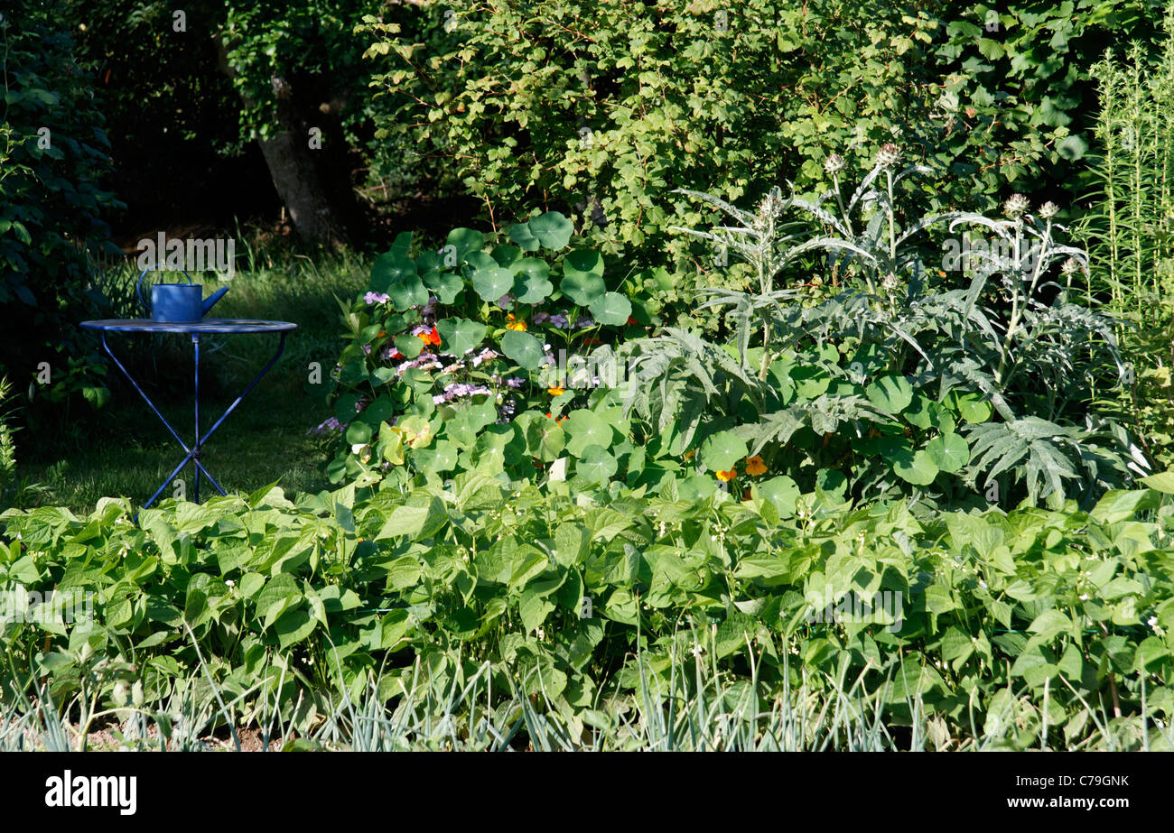 Planche de haricots verts Banque de photographies et d’images à haute ...