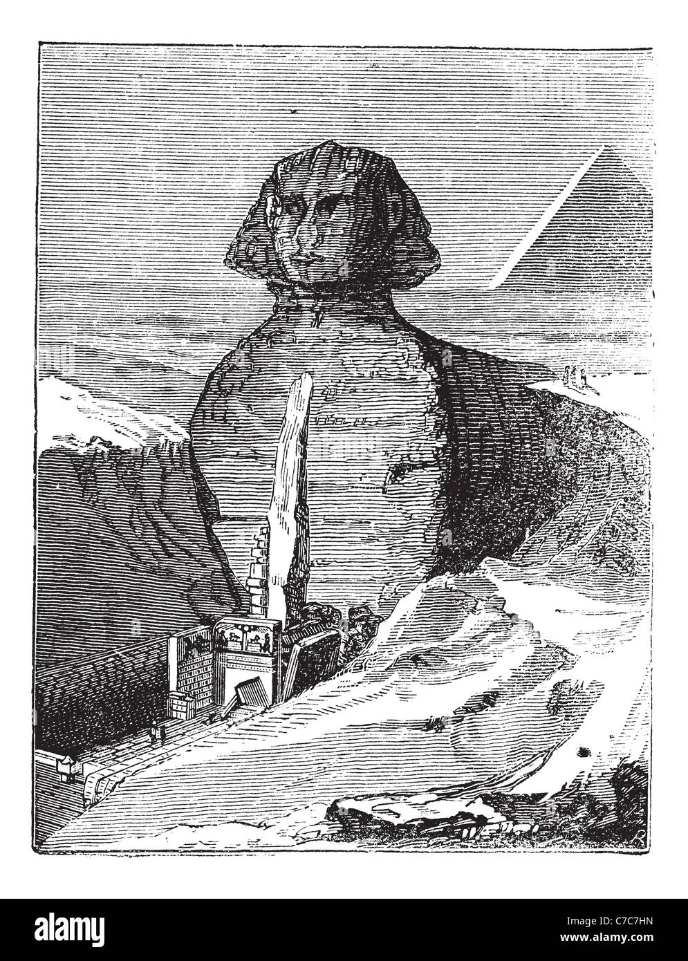 Grand Sphinx de Gizeh à Gizeh, Egypte, pendant les années 1890, gravure ...