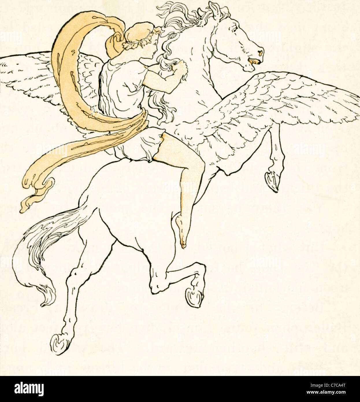 Selon la mythologie grecque, le héros Bellérophon, avec l'aide de l ...