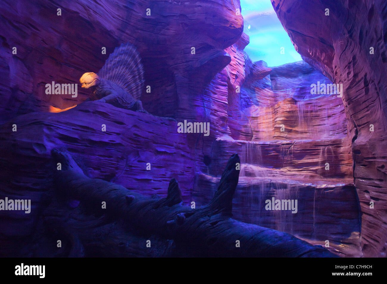 Schiffweiler Saarland Allemagne.Gondwana Praehistorium, Musée d ...