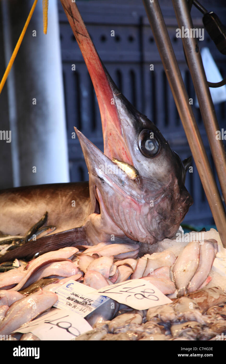 Sword fish Banque de photographies et d’images à haute résolution - Alamy