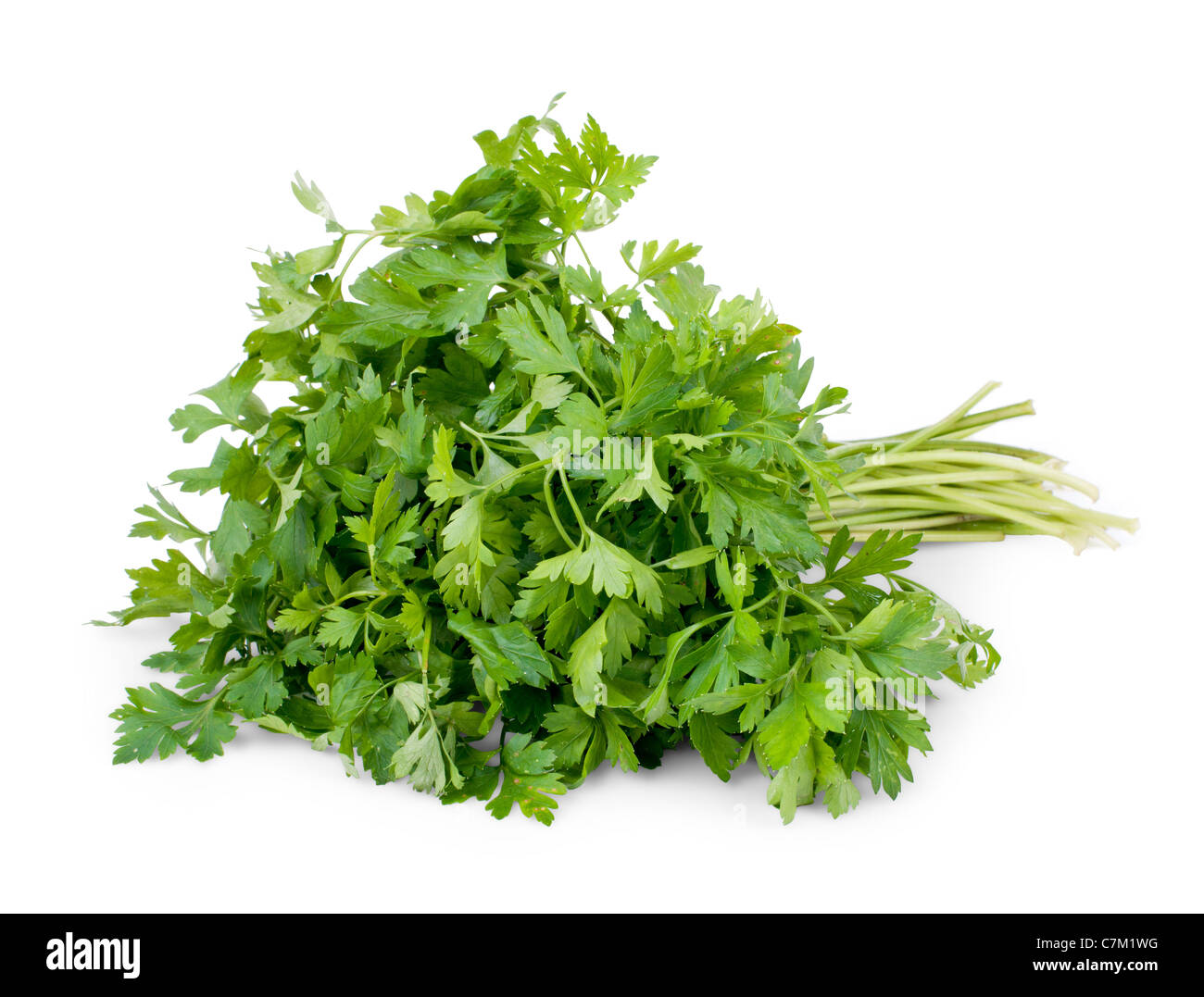 Bouquet de persil isolé sur fond blanc Photo Stock - Alamy