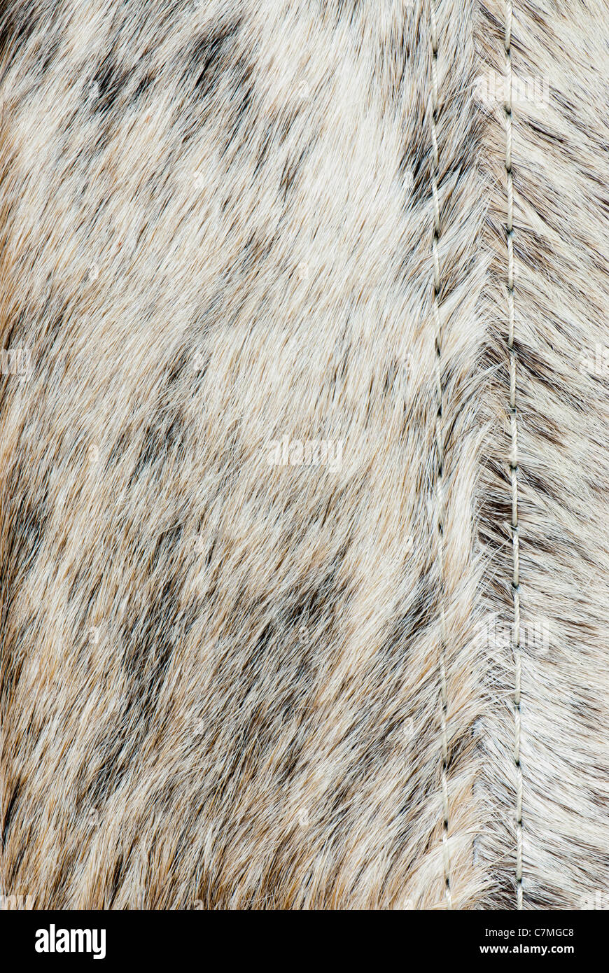 Fourrure Texture Banque d'image et photos - Alamy