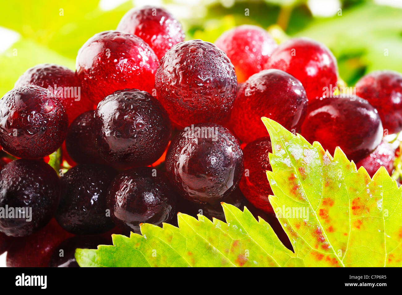 Raisins rouges humides Banque de photographies et d’images à haute ...
