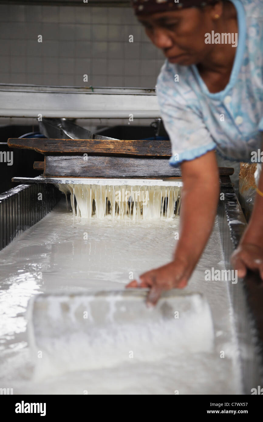 Plantation de kalitakir Banque de photographies et d’images à haute ...