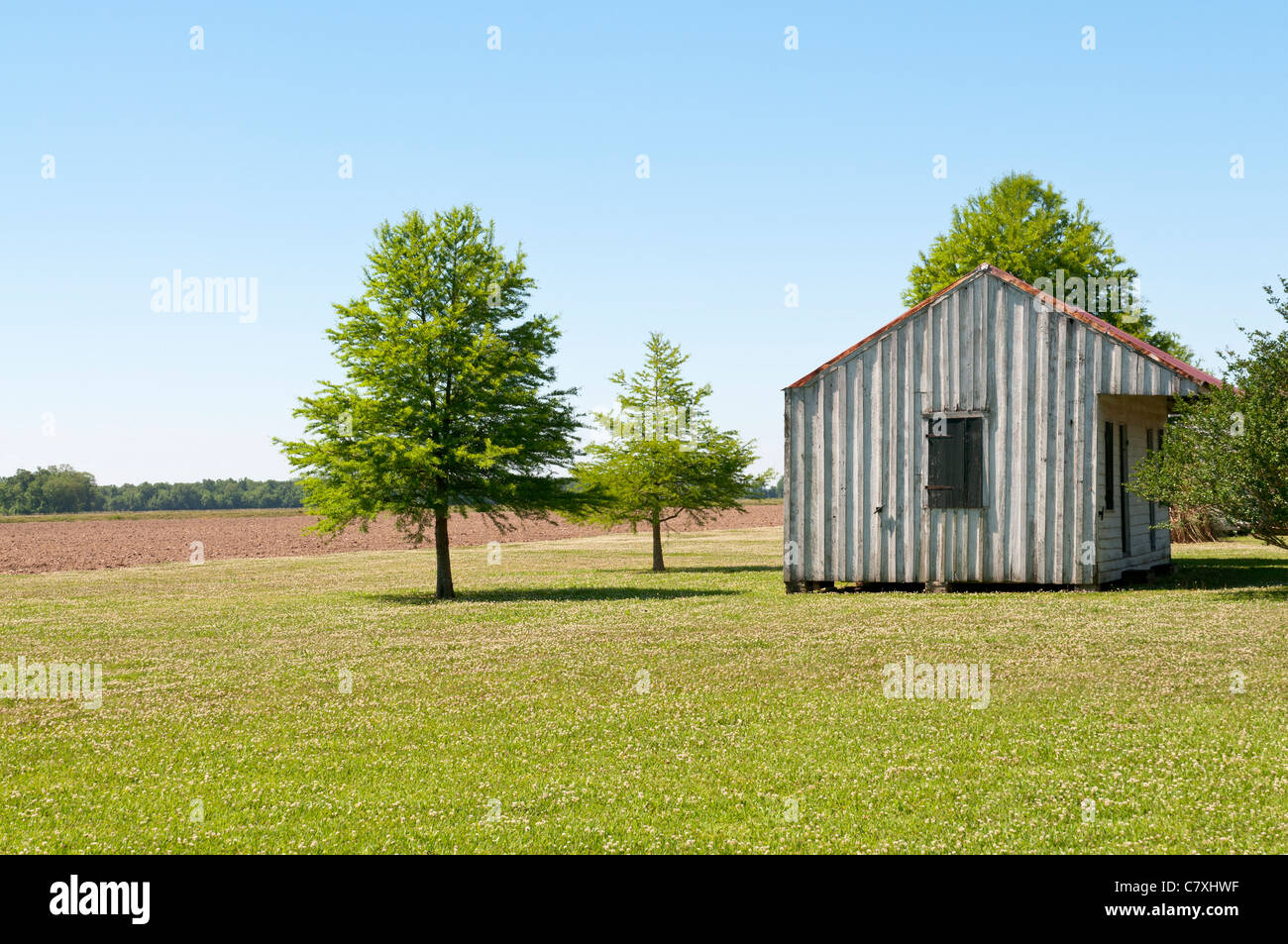 Louisiana frogmore plantation cotton Banque de photographies et d ...