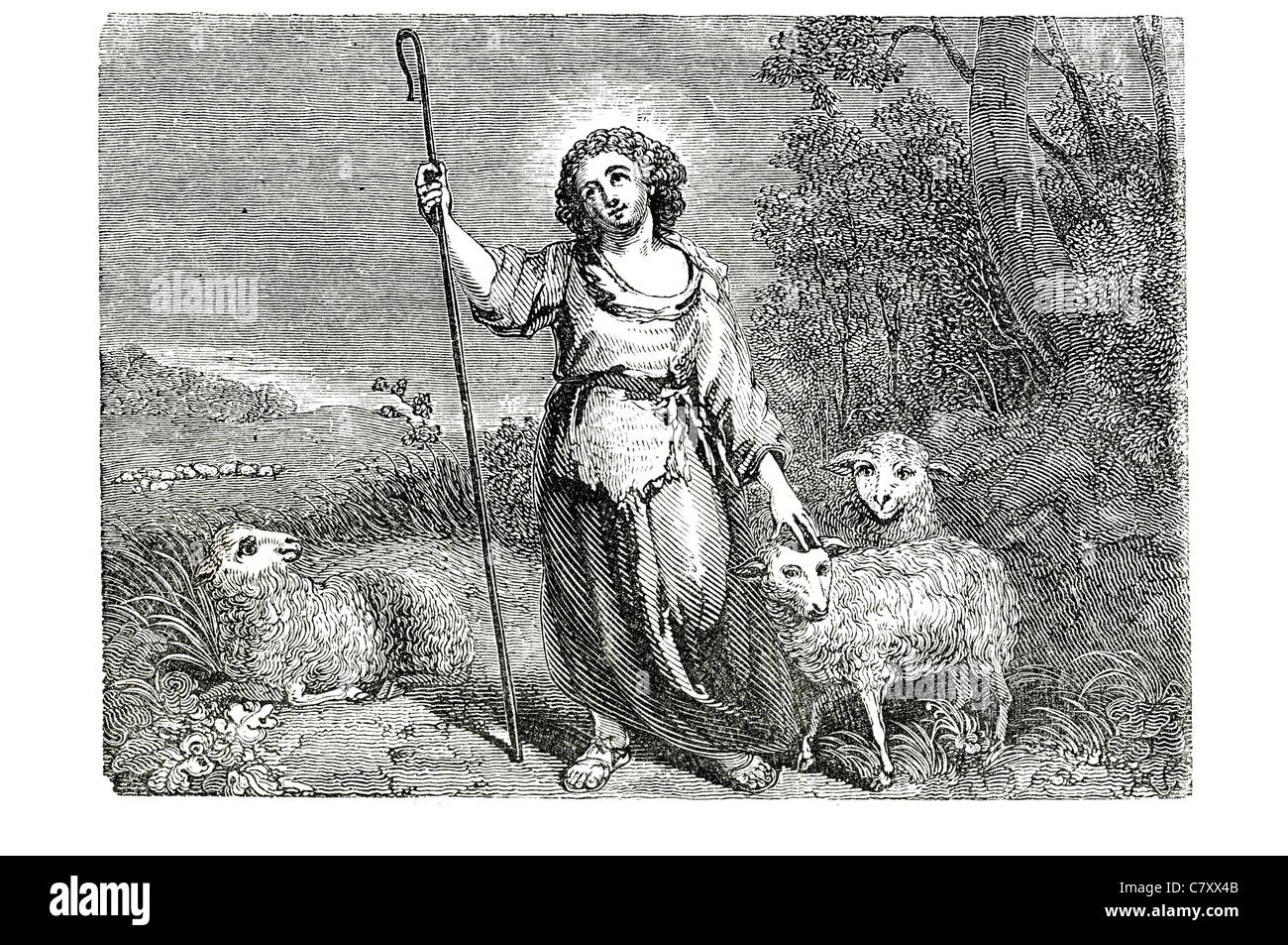 Illustration jesus sheep Banque de photographies et d’images à haute ...