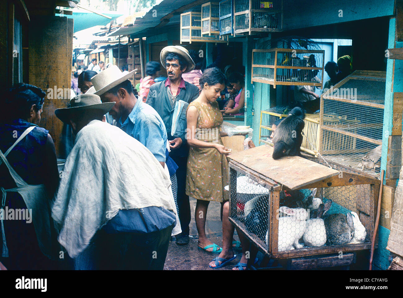 Scène de marché avec les gens,les lapins en cage et un singe à ...
